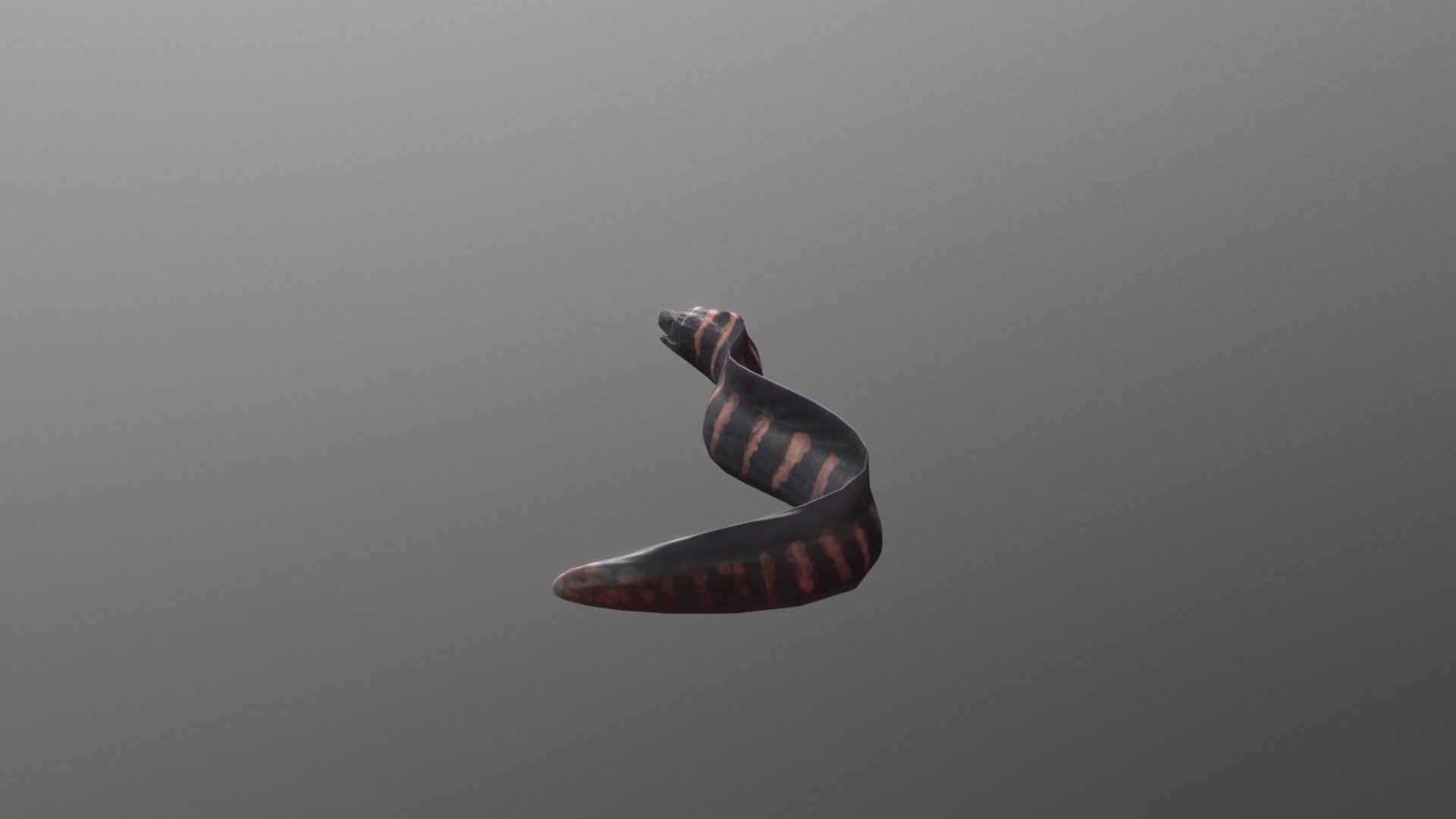 Moray - 3D model by samnudel [e8ee248] - Sketchfab