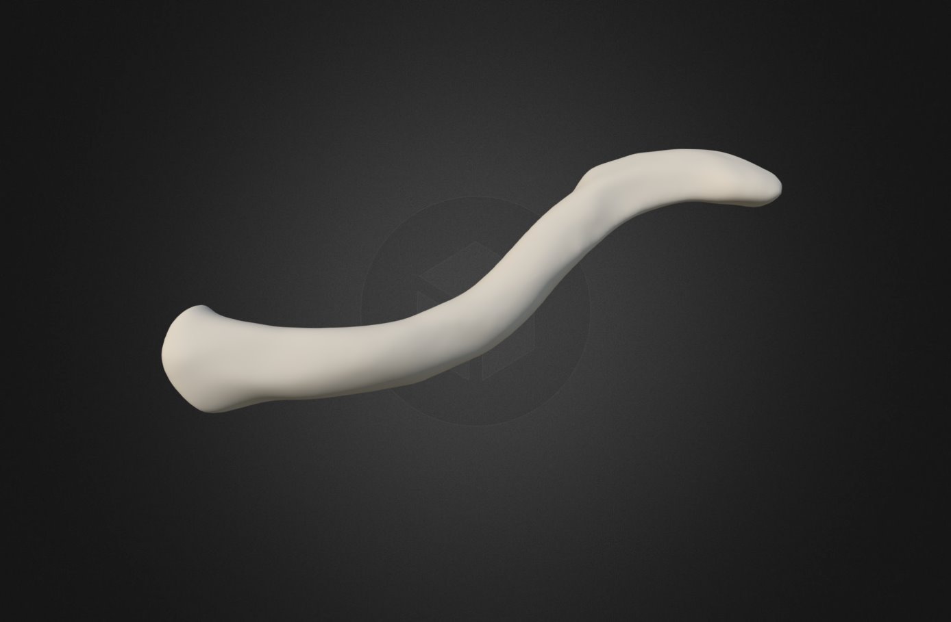 Clavicle - 3D model by Anatomy Next (@a4s) [e8f1690] - Sketchfab