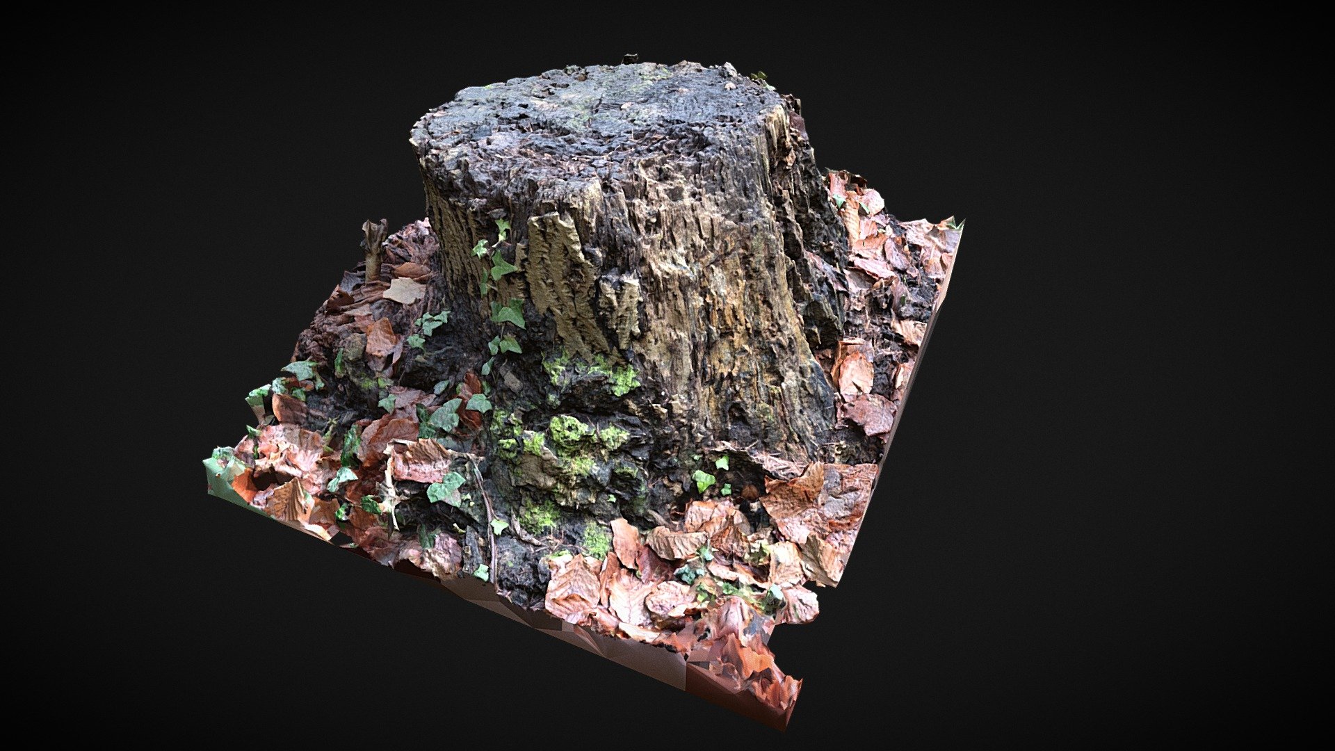 Tree stump - 3D model by DF Visualisation (@danfran2201) [e8f194b ...