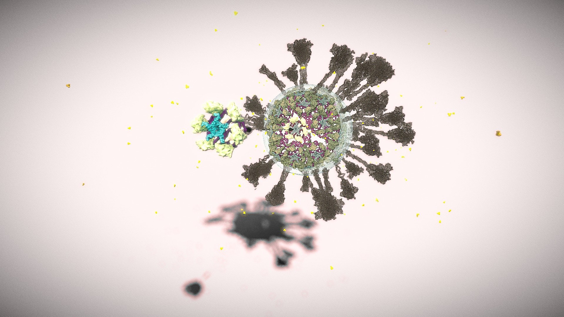 Sars-Cov-2 descriptive model (protein bundle) - 3D model by ...