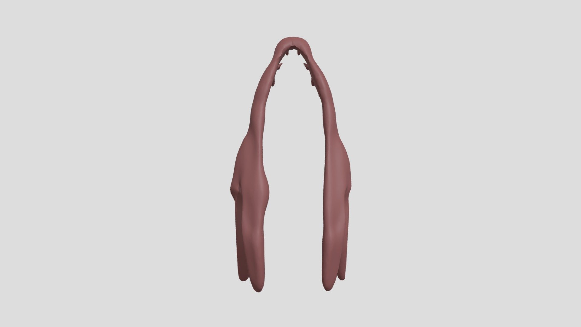 Pike jawbone - 3D model by tobyfor [e8fa2e2] - Sketchfab