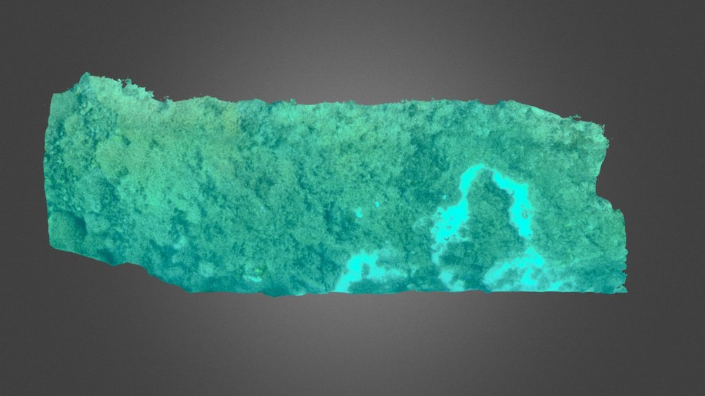 Heron Reef, Great Barrier Reef, Australia - 3D model by renataferrari ...