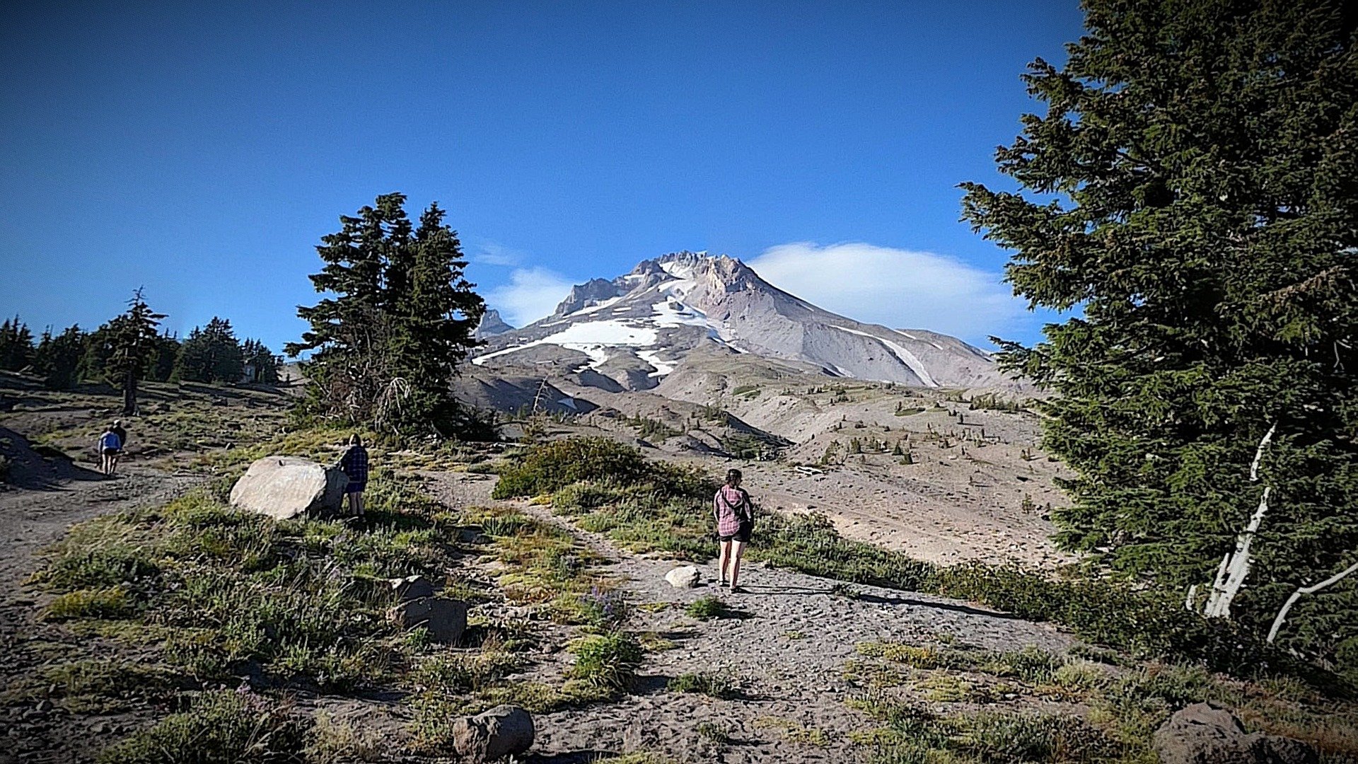 Mt. Hood - 3D model by Phil.Devine [e90fcf2] - Sketchfab