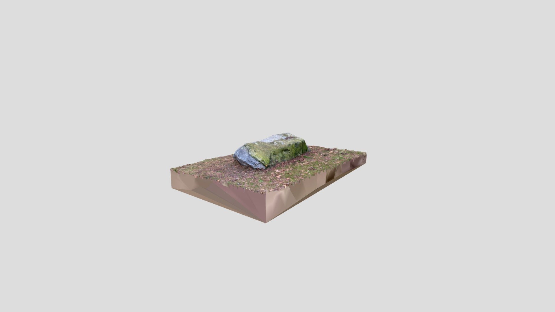 West Coast 3D scan Rock - 3D model by francislafleche3d [e923091 ...