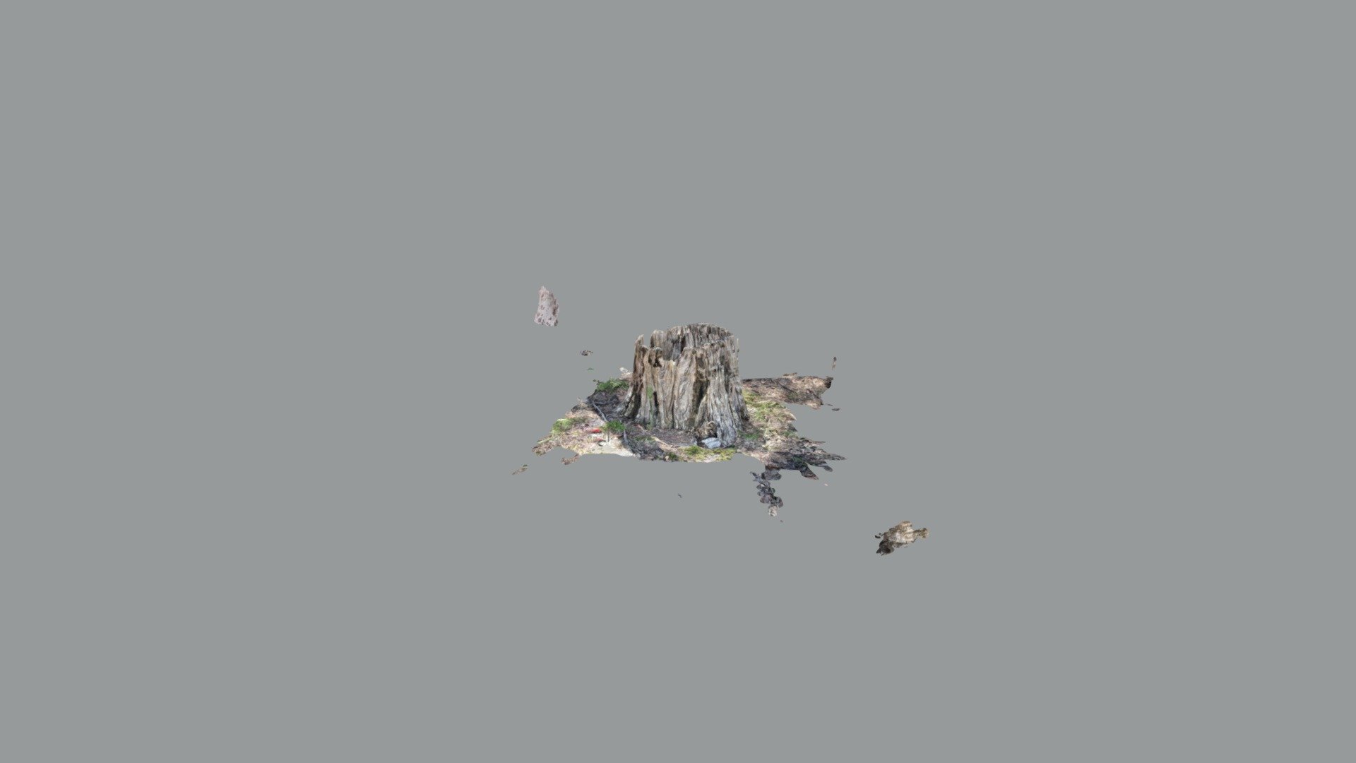 Drought stump - Download Free 3D model by feelab [e92508d] - Sketchfab