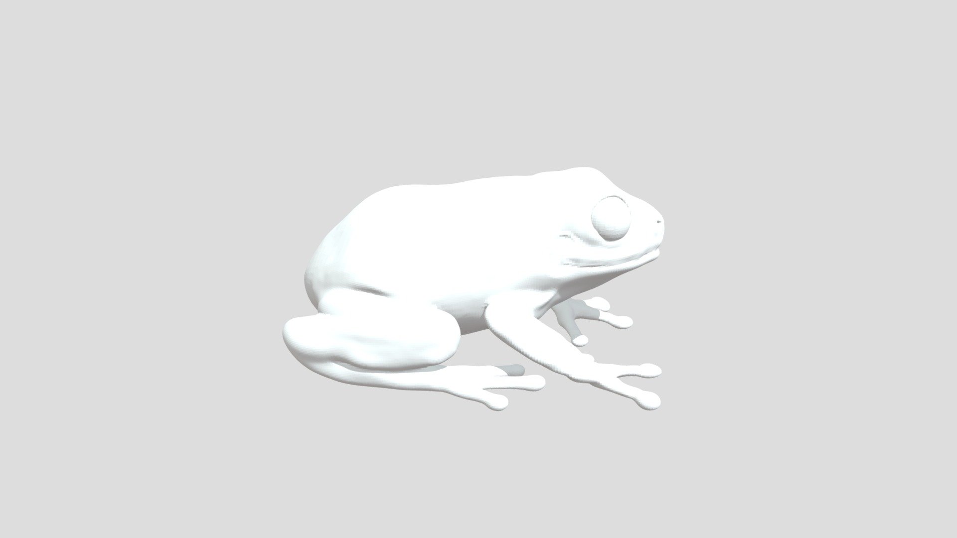 Frog Model - Download Free 3D model by Jakob Rosenberger ...
