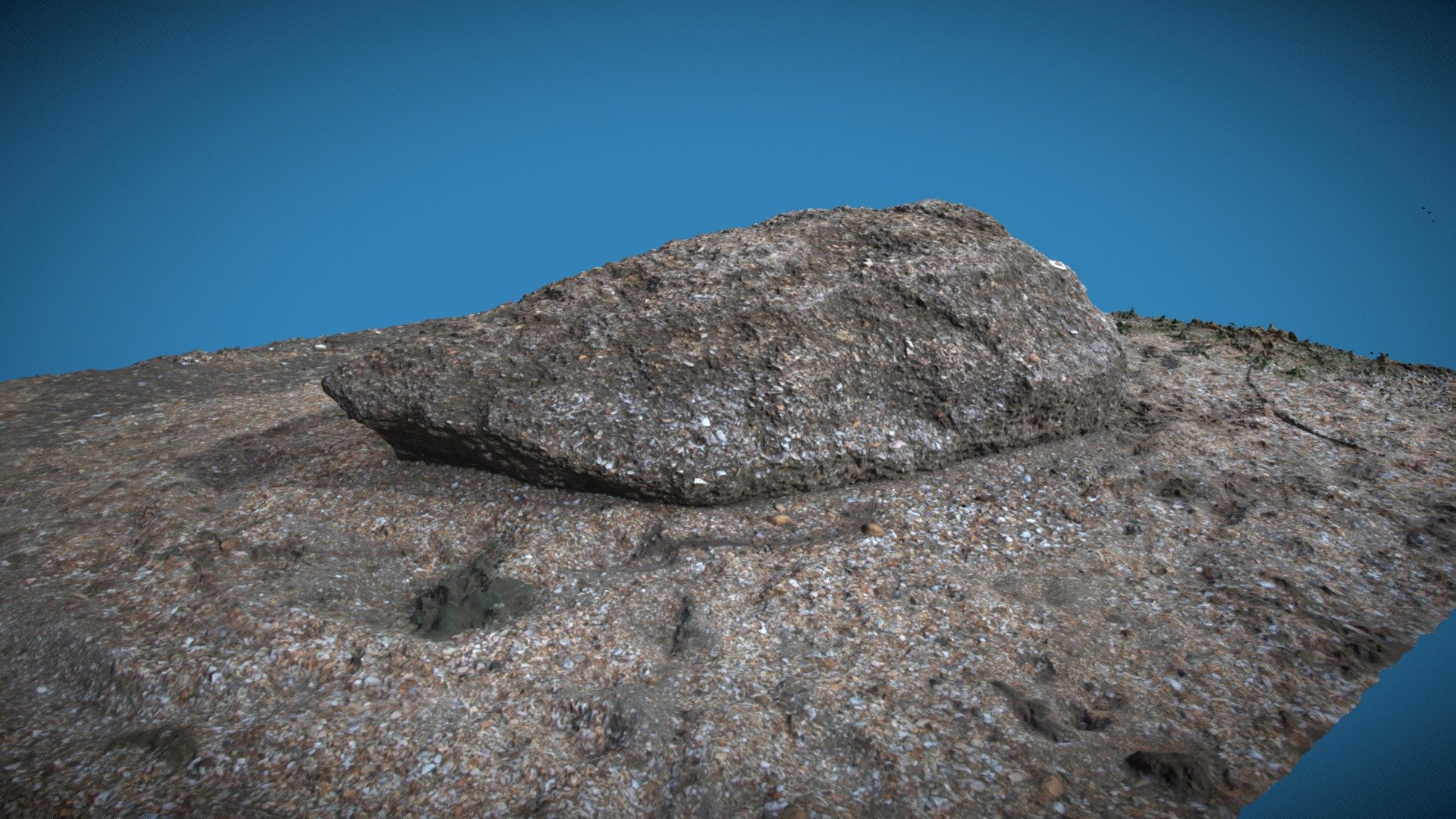 Hightower Beach Limestone Rock - 3D model by gspeed0689 [e93dbc9 ...