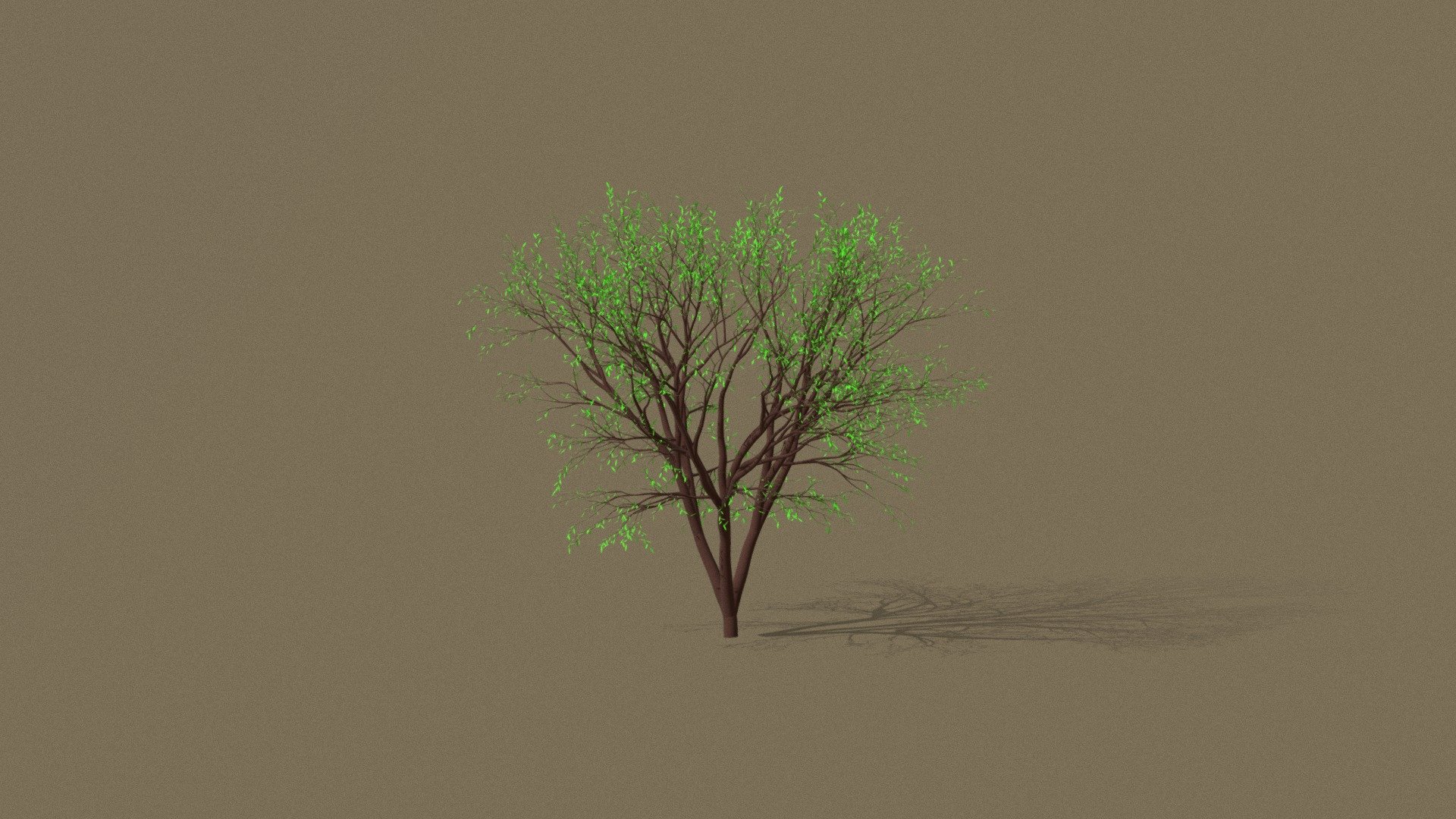 Tree - Download Free 3D model by Sv22g [e940979] - Sketchfab