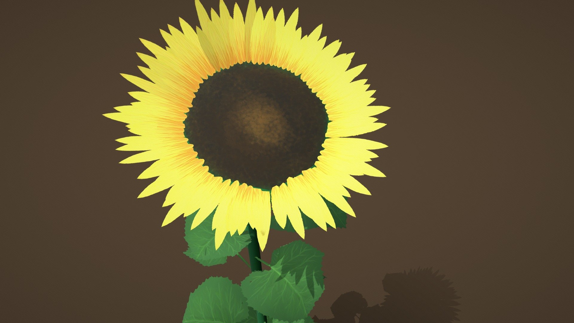 Sunflower - 3D model by Solear [e942297] - Sketchfab