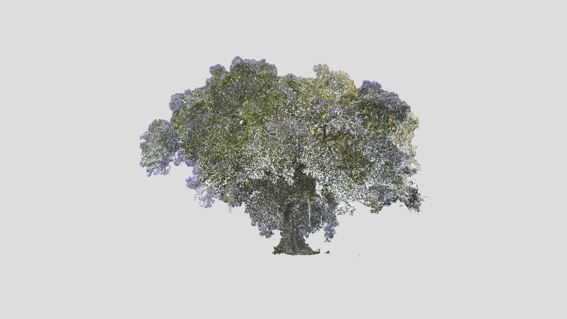 Tree Point Cloud - Buy Royalty Free 3D model by magnum_opus (@tree ...