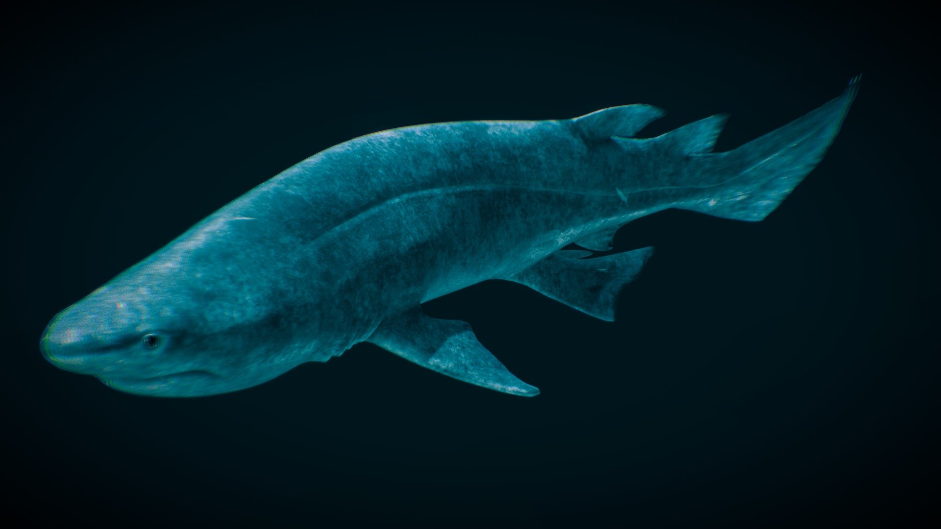Prickly Shark - Buy Royalty Free 3D model by Nestaeric [e943fff ...