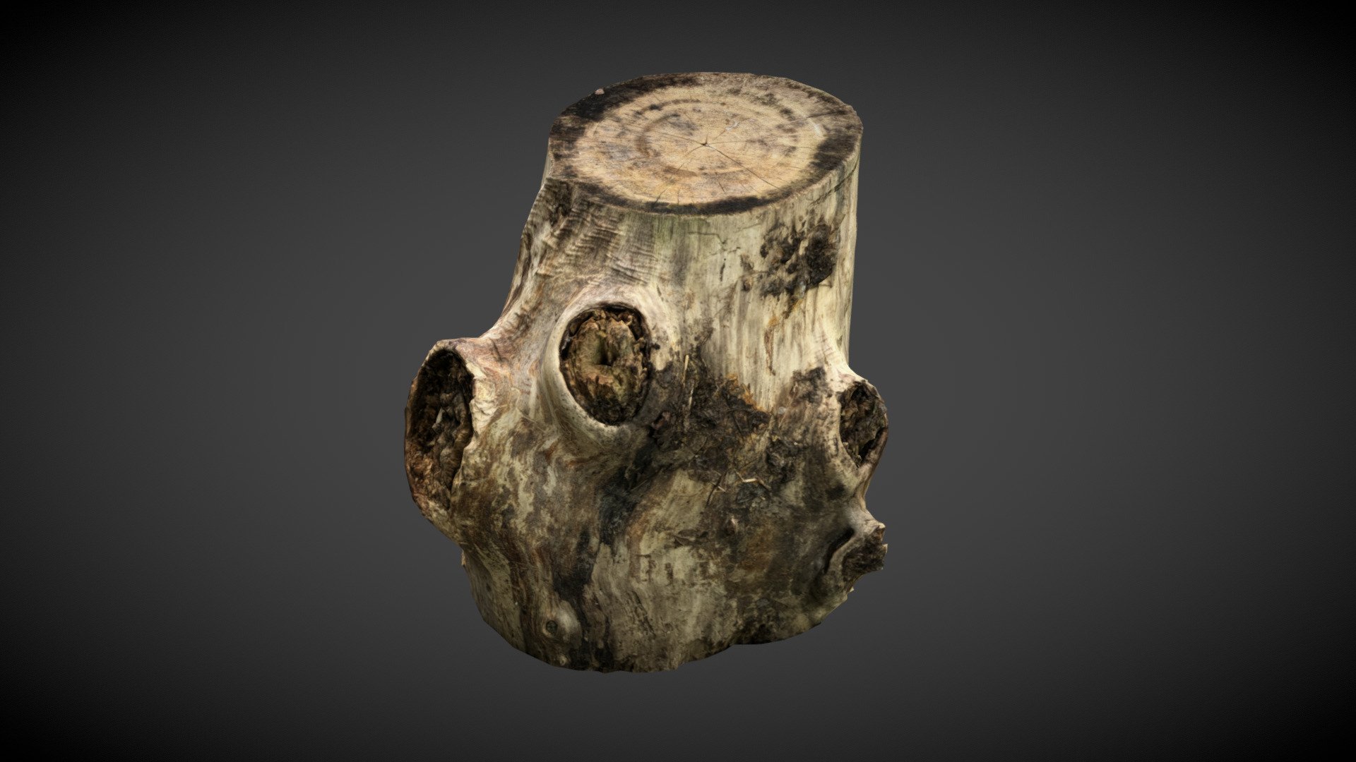 Bright Tree Strump - Download Free 3D model by Otto H (@ottohornback ...