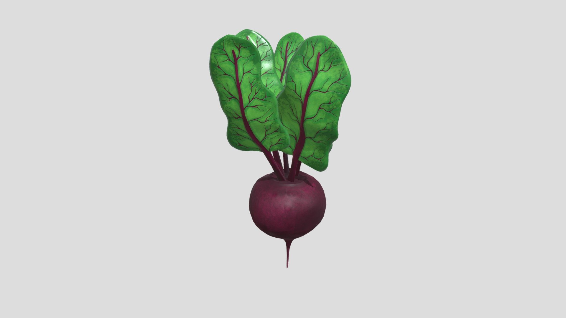 Beet - 3D model by amsiu [e95542b] - Sketchfab