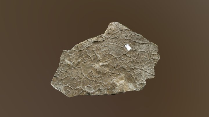 Digital_outcrop_model 3D models - Sketchfab Digital_outcrop_model 3D models - Sketchfab