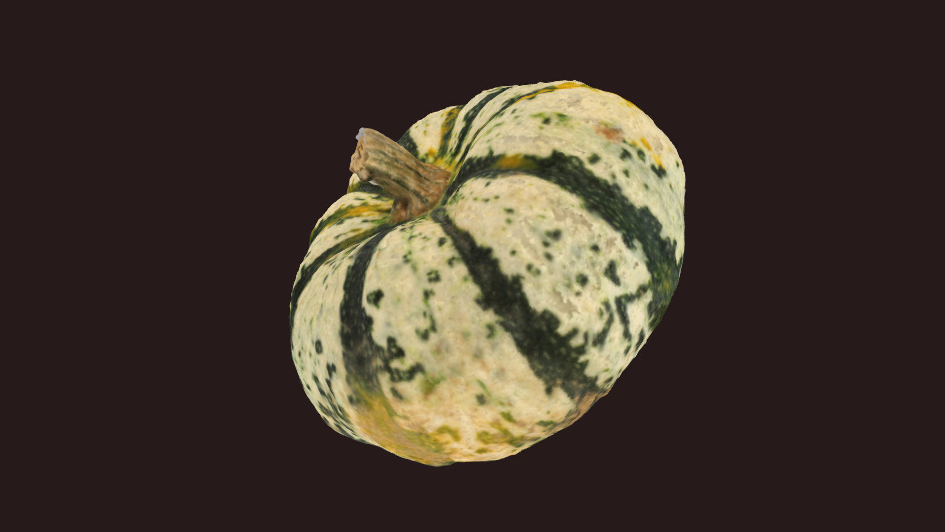Cucurbita pepo Sweet lightning hybrid F2 - 3D model by BernardG49 ...