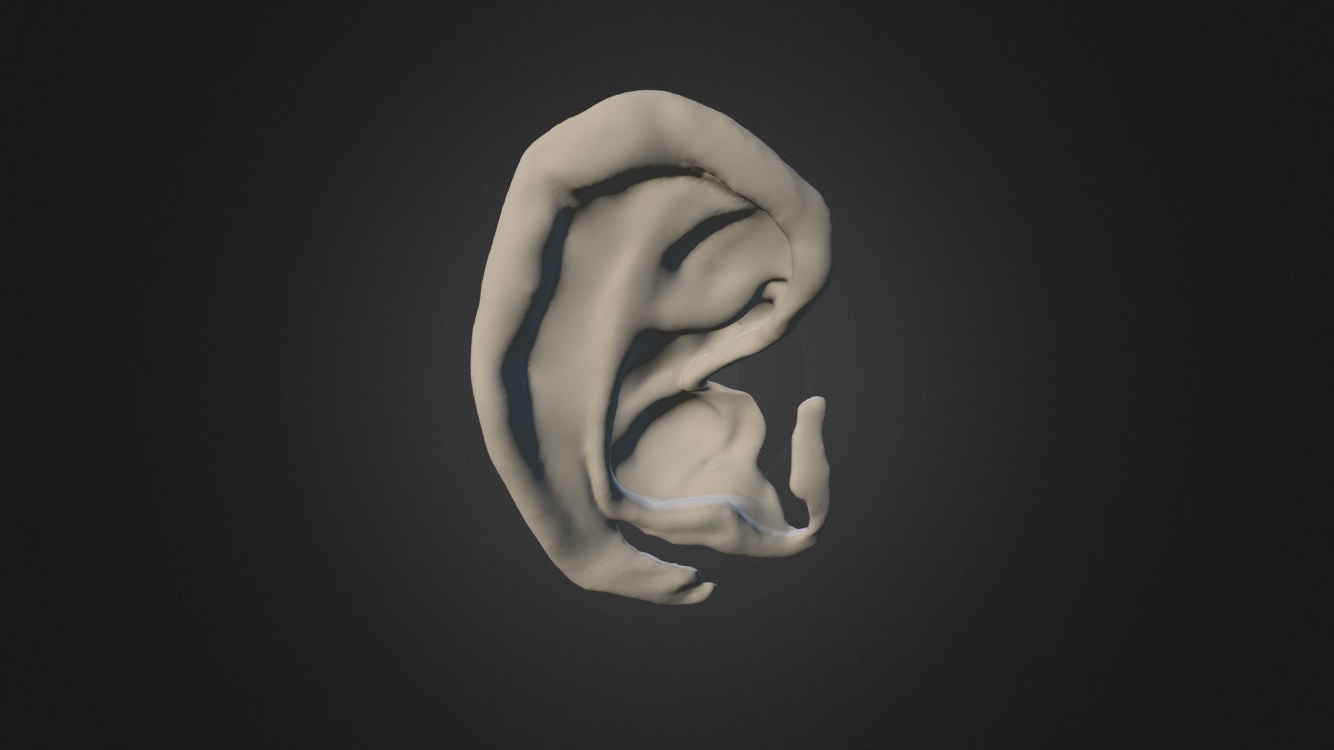 Ear 2 - 3D model by bossestrenders [e96e390] - Sketchfab