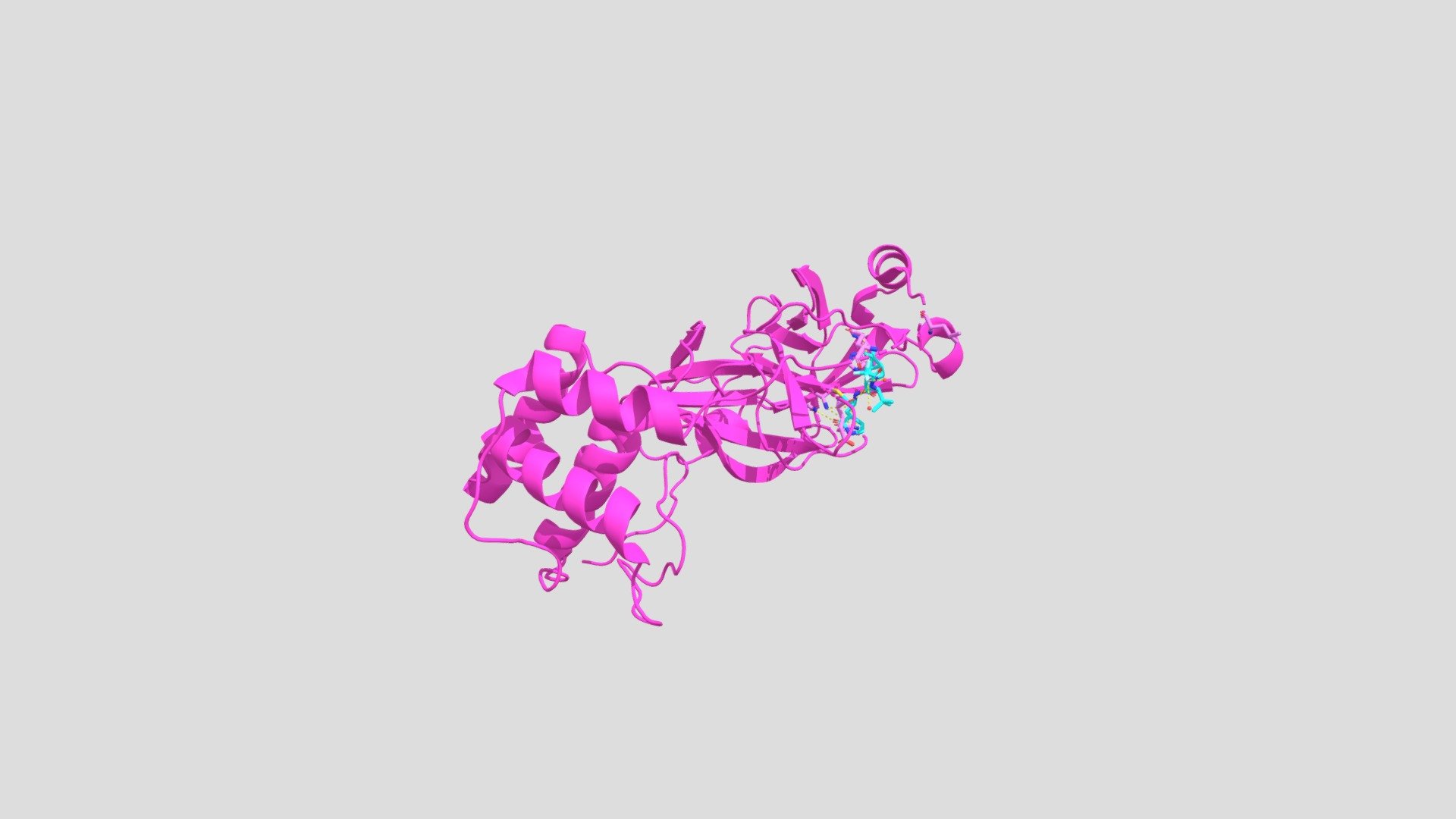 Pymol SARS-CoV-2 - 3D model by zarakate [e9737ed] - Sketchfab