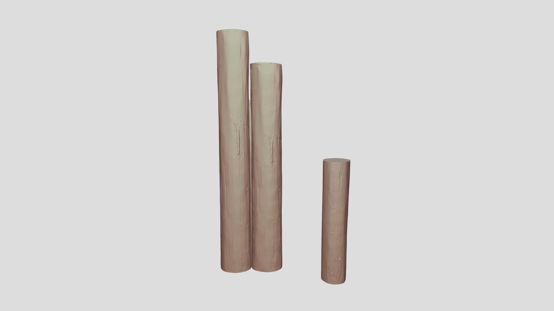 Pilings - 3D model by Capture It In 3D (@CaptureMeIn3D) [e973cba ...