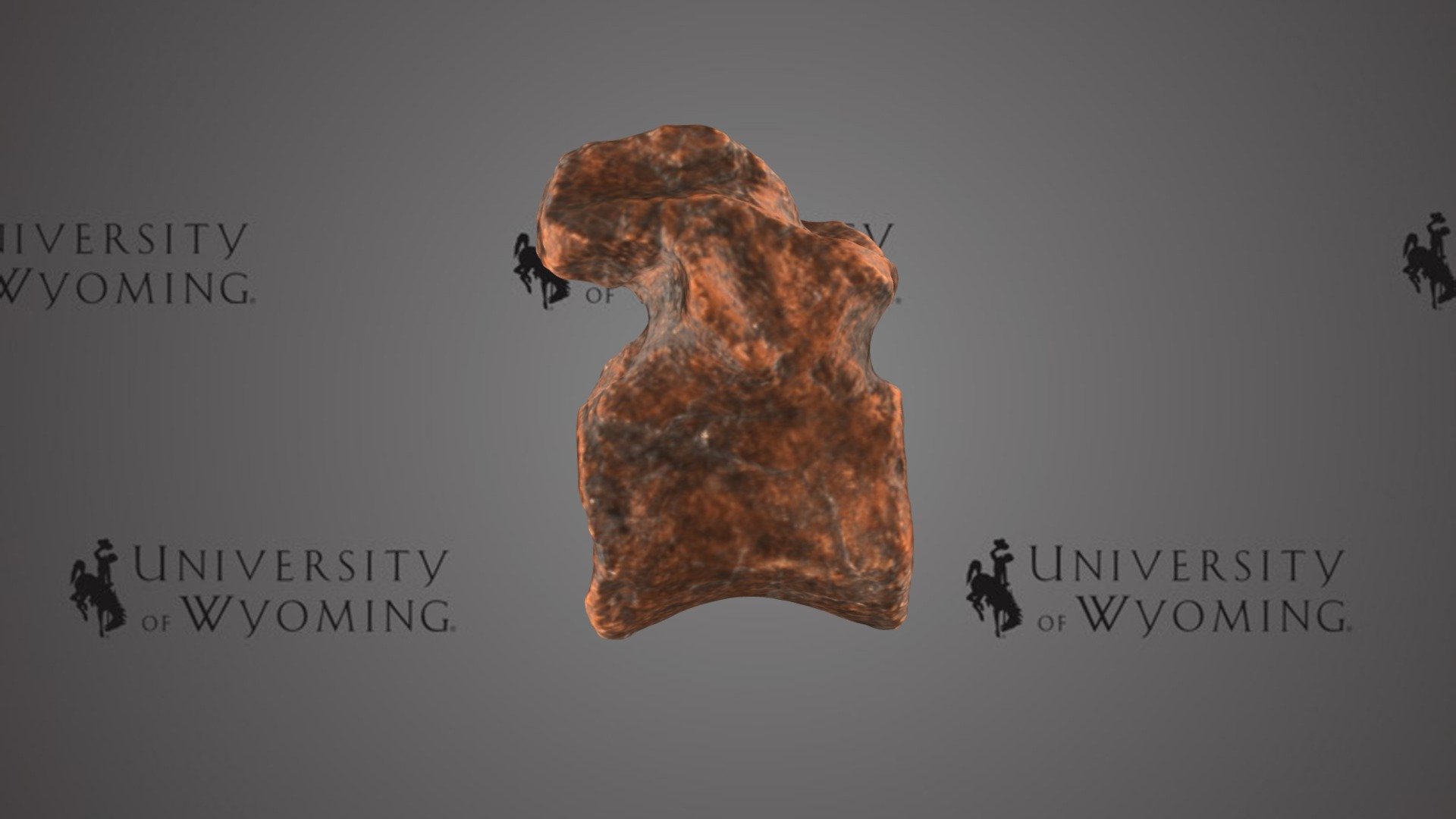 UW 46974 I - Apatosaurus parvus, Vertebra - Download Free 3D model by ...