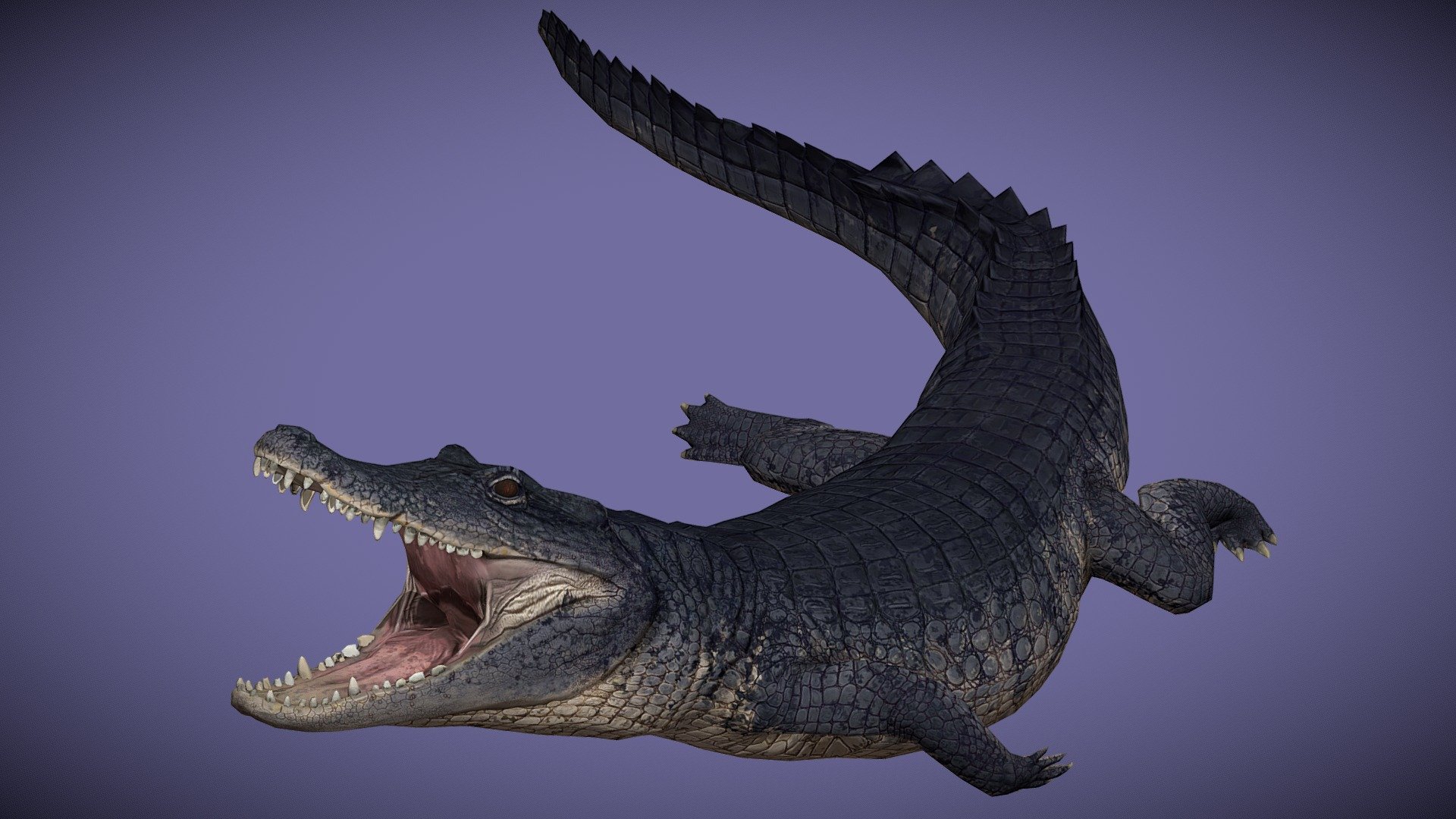 Brachychampsa - Saurian - Download Free 3D model by AllThingsSaurus ...