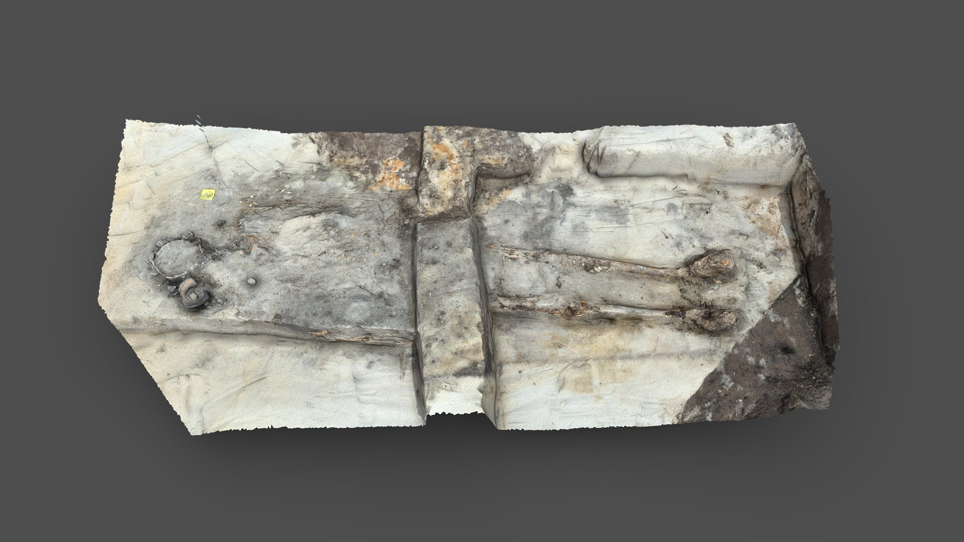 2023 BRB BEF 12 Grab Adult - 3D model by praehist3d [e98c248] - Sketchfab
