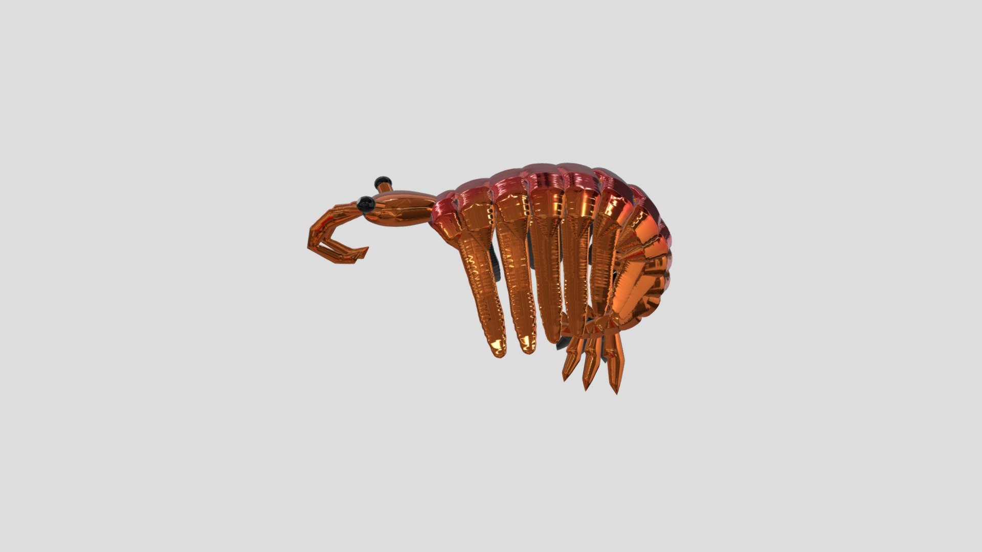 Anomalocaris - 3D model by Bolbster [e98f345] - Sketchfab