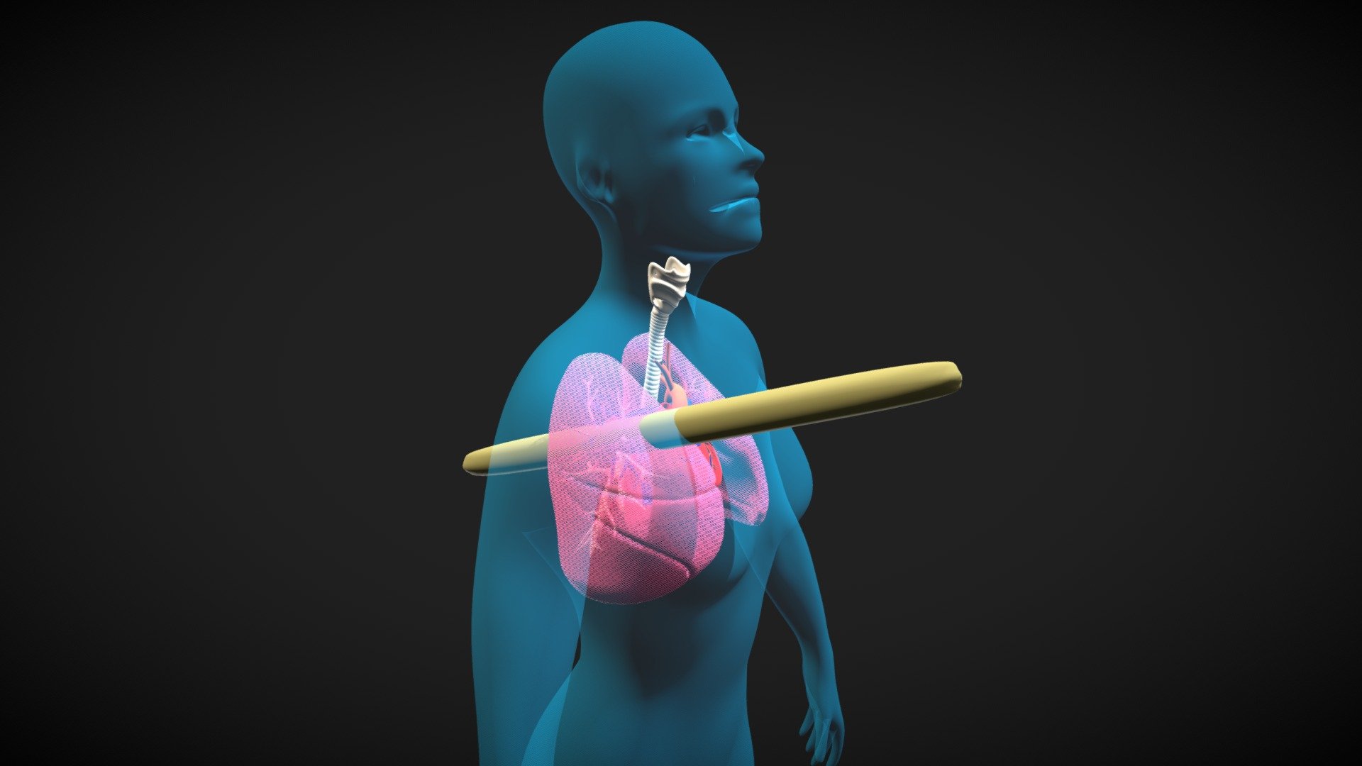 With-sds - 3D model by lowteklos [e9ab7d4] - Sketchfab