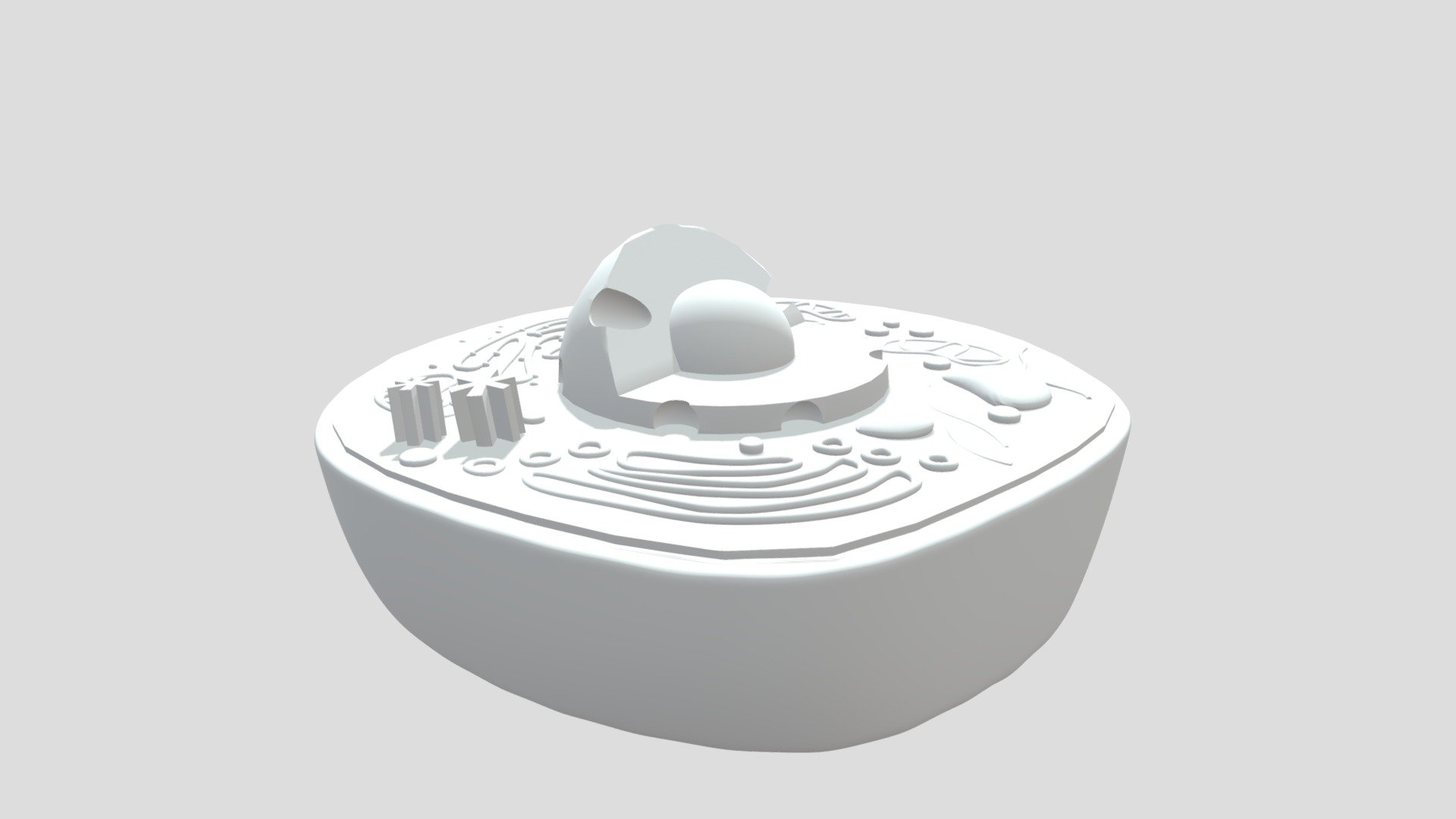 Animal Cell - Download Free 3D model by selly (@sellyy) [e9ab932 ...