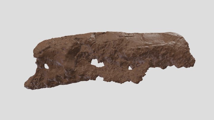 Sloth 3D models - Sketchfab