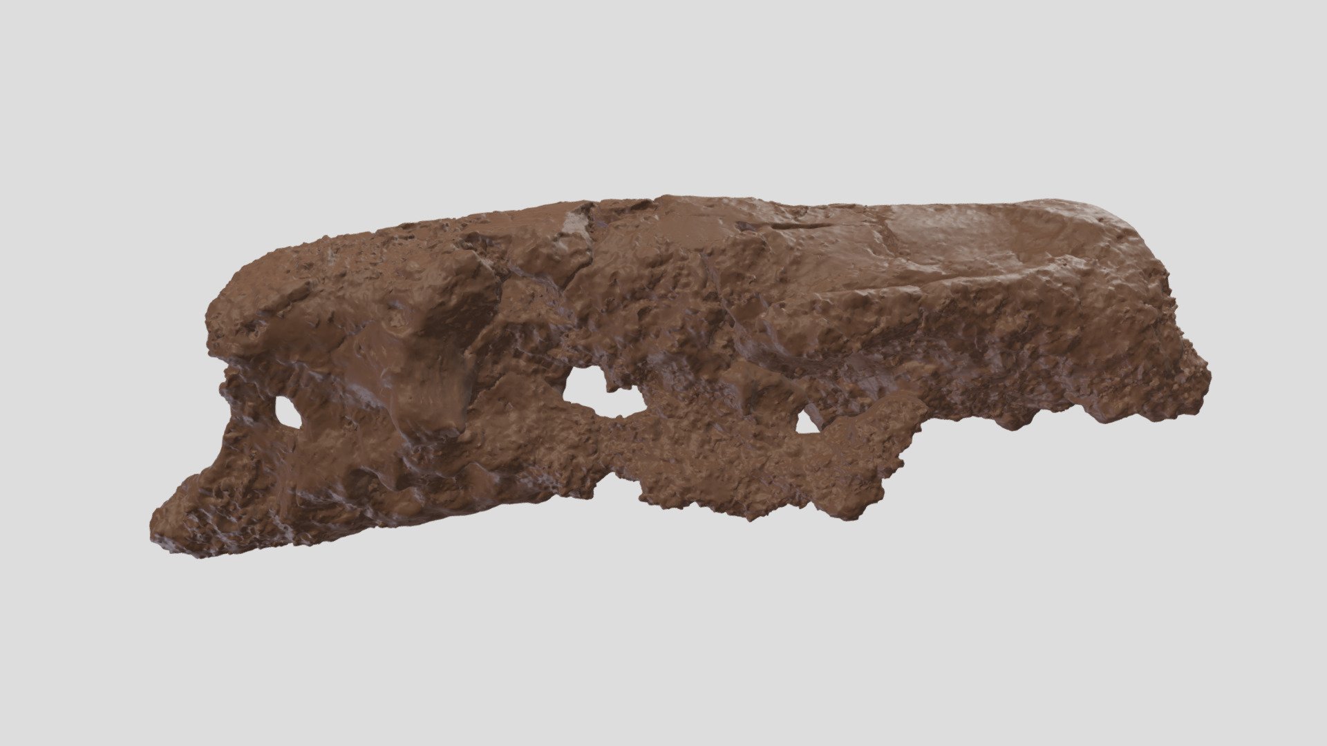 Sloth skull Mylodon - 3D model by Palaeontological Museum UZH (@PIMUZ ...