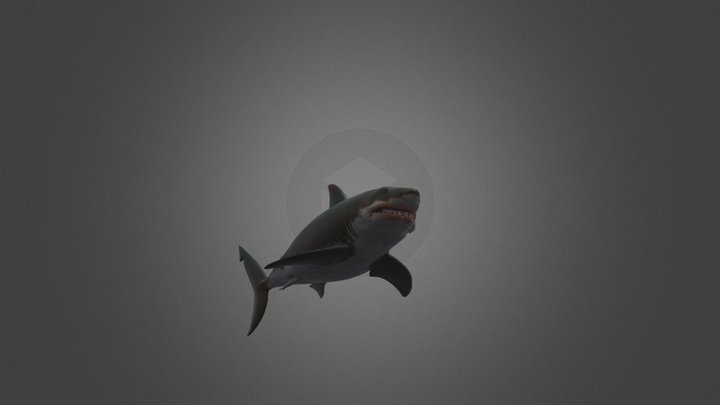 Jaws 3D models - Sketchfab