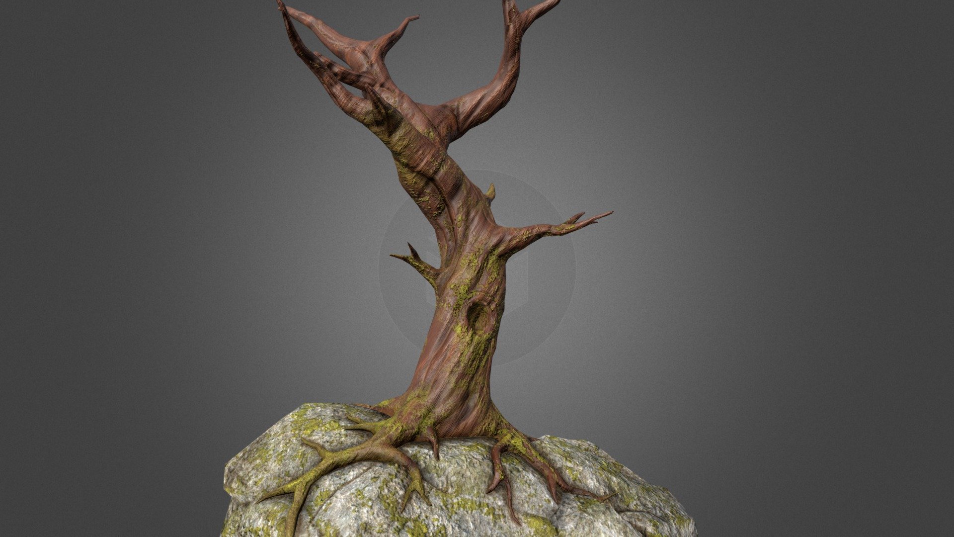Hero Tree Rock - 3D model by Shirodusty (@scott_roberfroid) [e9b0c15 ...