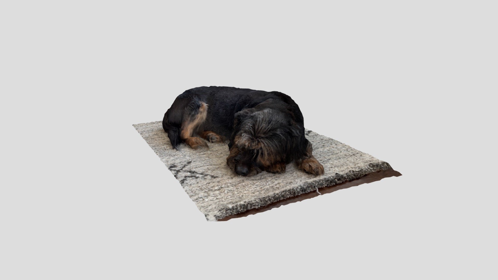 Dog 3D scan “Alf” - Download Free 3D model by makeitmovemedia [e9b56df ...