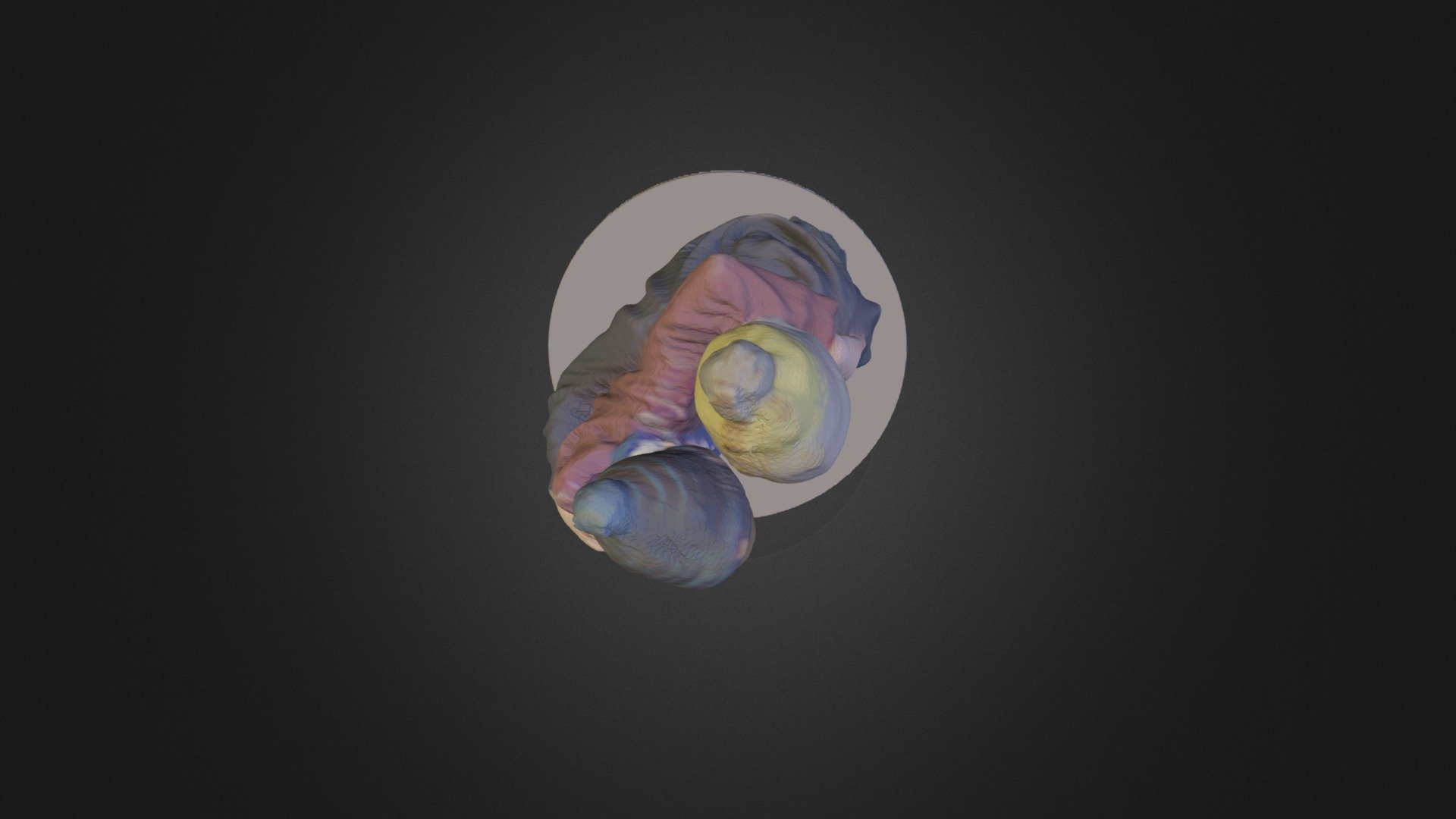 Friends - 3D model by normabarr [e9bf671] - Sketchfab