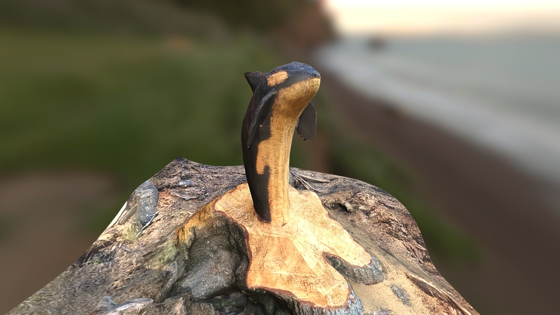 Orca Chainsaw Art - 3D model by Ben Frans (@benfrans) [e9c38f4] - Sketchfab