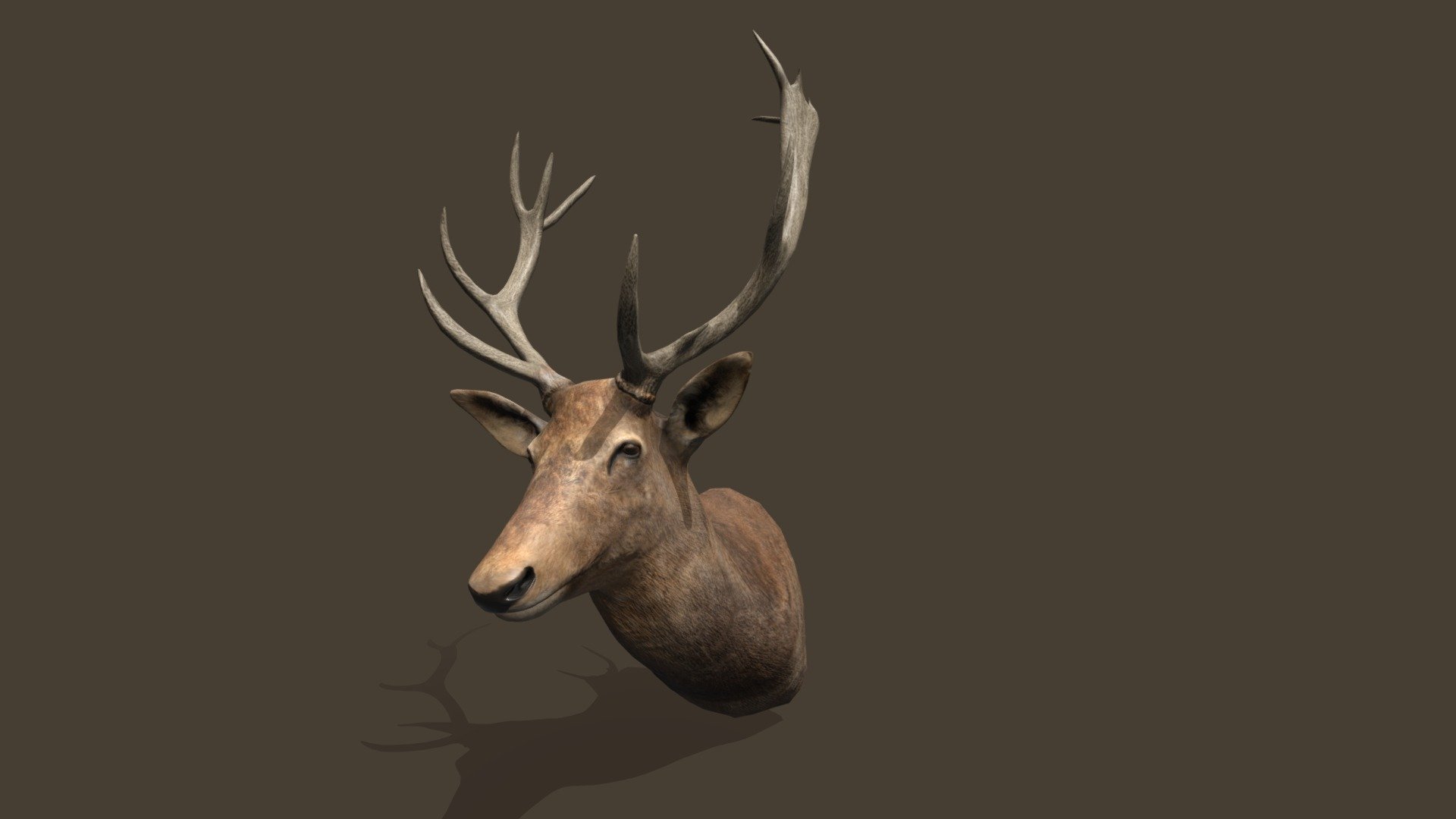 jelen - Download Free 3D model by Rechtorik (@michalrech) [e9d0b14 ...