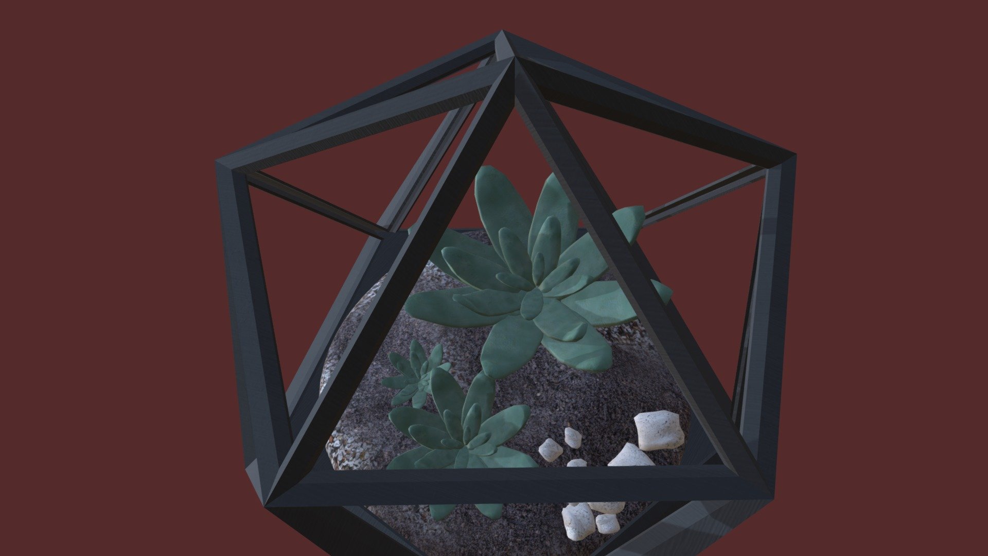 Terrarium - 3D model by Nicolas A. Rossi (@Shorkie) [e9d209d] - Sketchfab