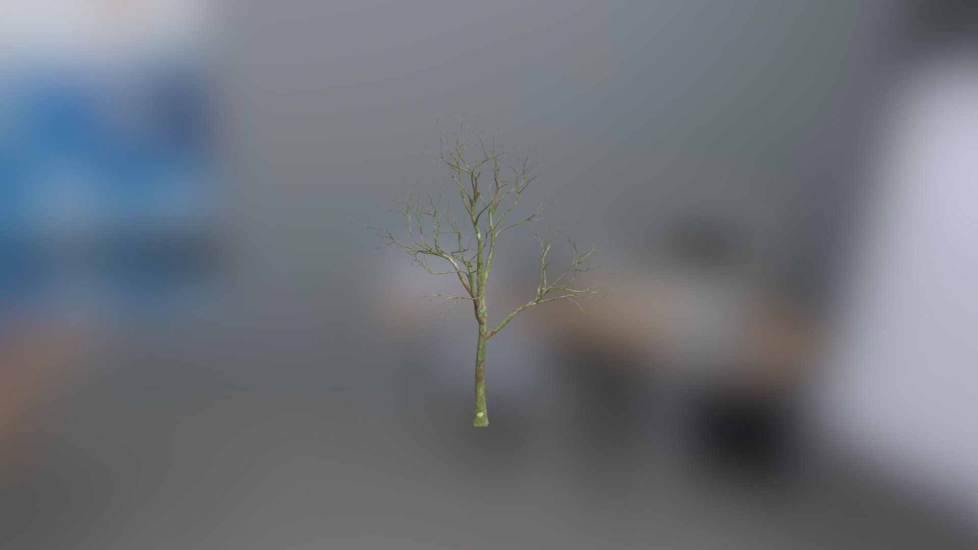Tree Without Leaves - Download Free 3D model by waffen2009 [e9d69e0 ...