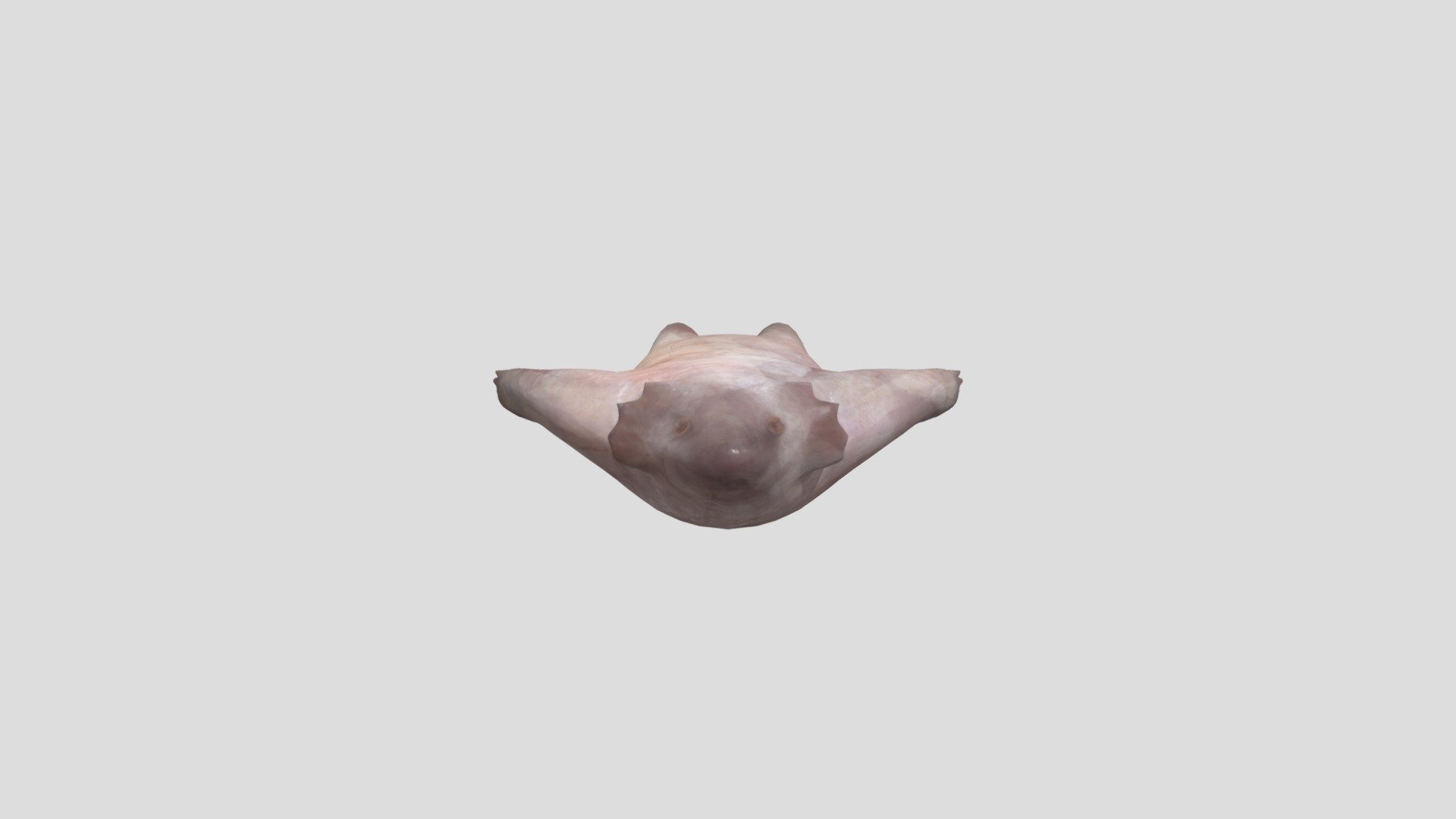 Sea Creature - 3D model by Zuzanna Zaremba (@zuzanna.zaremba99 ...