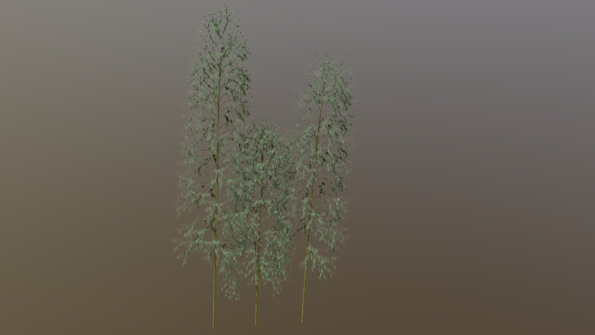 Bamboo - Buy Royalty Free 3D model by kambur [e9df20d] - Sketchfab Store