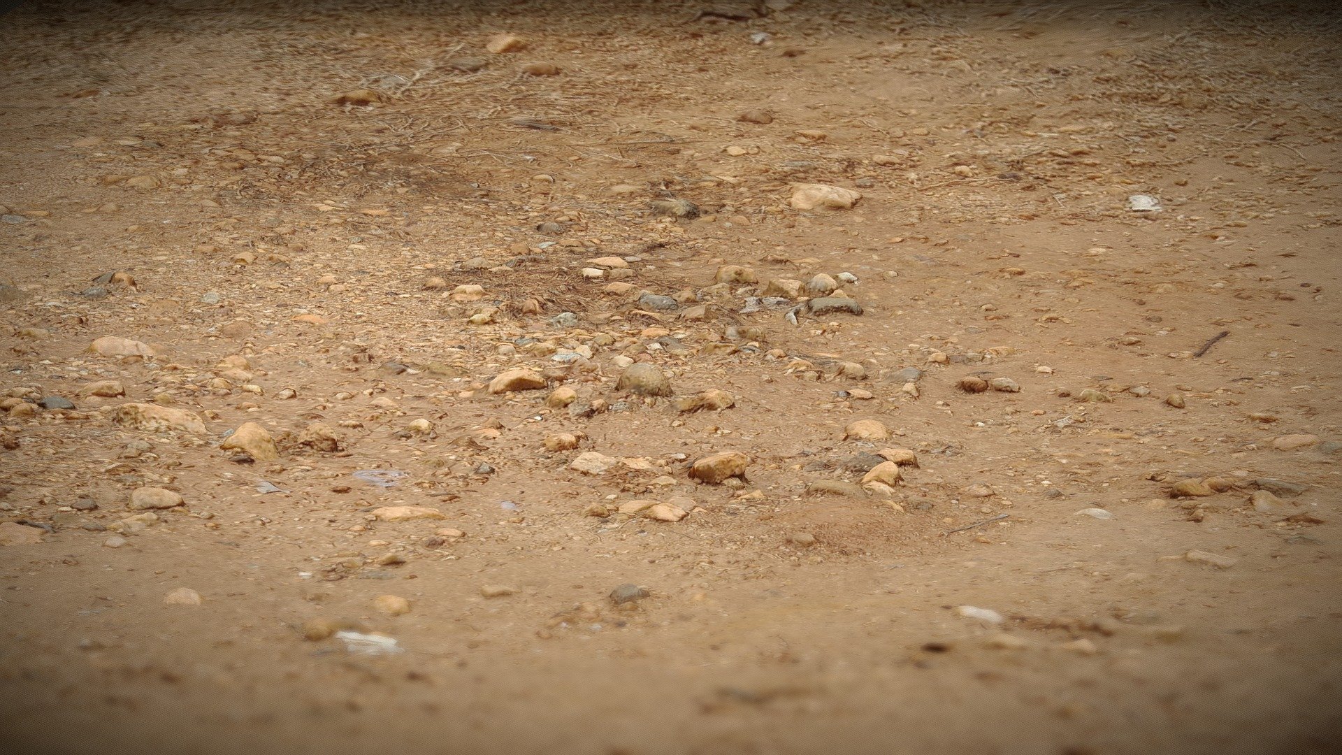Ground - Download Free 3D model by Ravirajraj [e9e030a] - Sketchfab