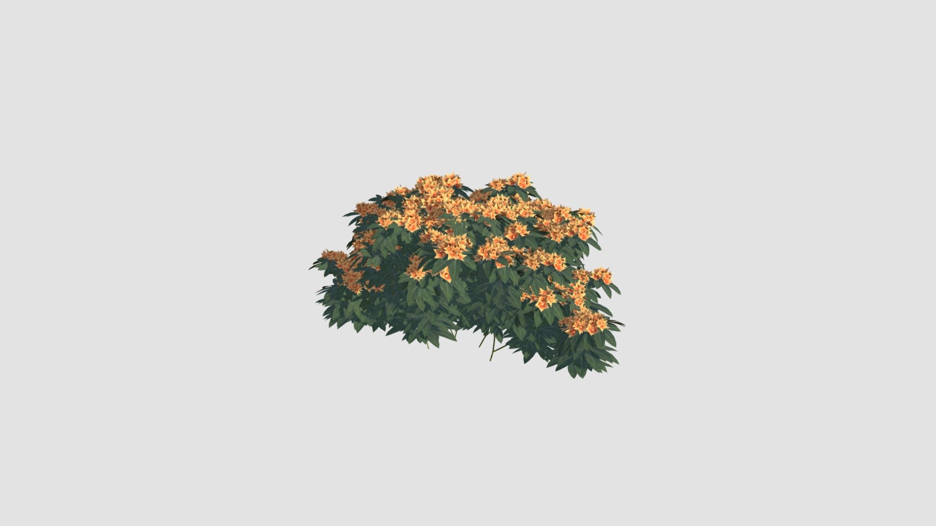 Plant for c4d - Buy Royalty Free 3D model by Evermotion [e9e7d0d ...