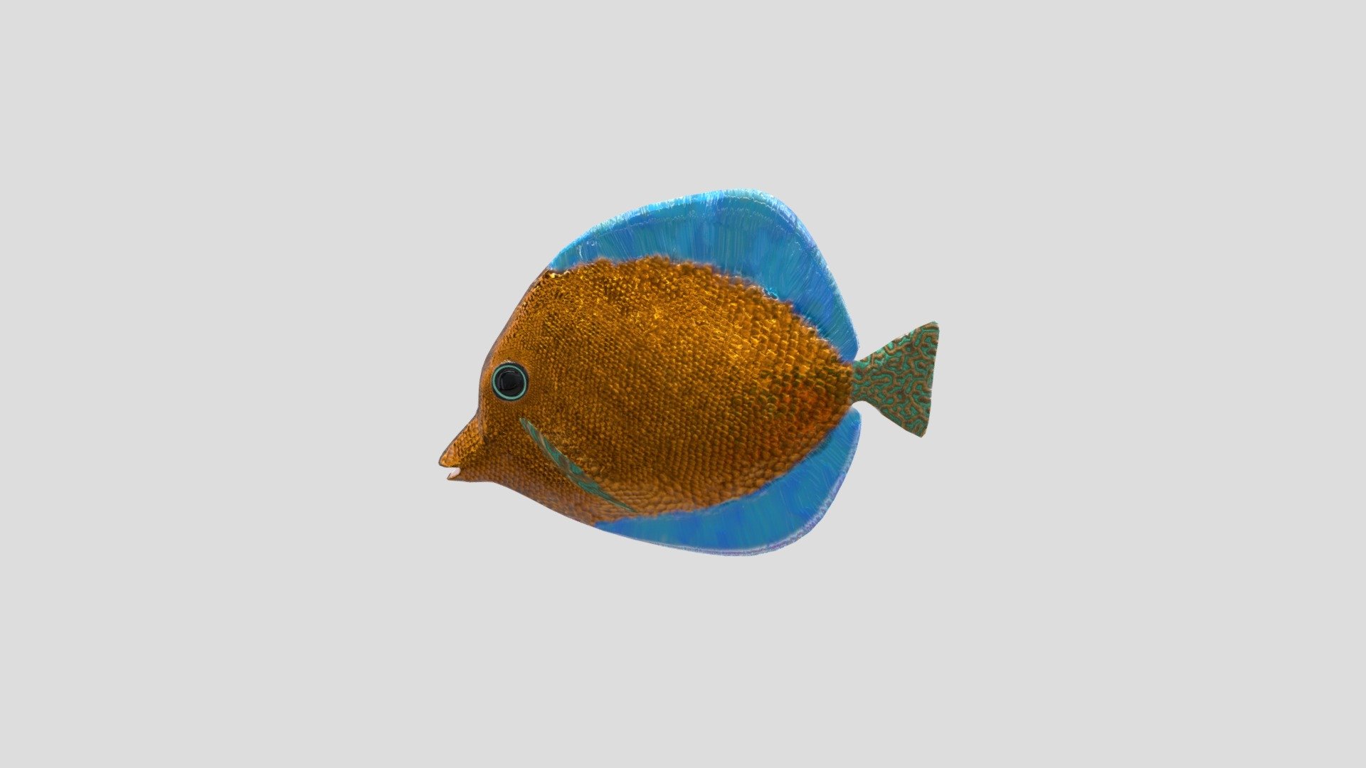 Fish - Download Free 3D model by ejcloninger [e9f1254] - Sketchfab