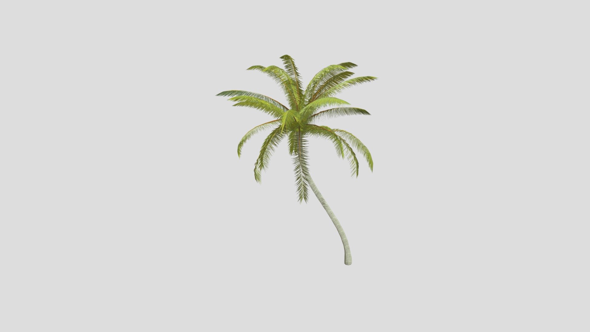 Bended coconut tree - Download Free 3D model by 1-3D.com [e9f4782 ...