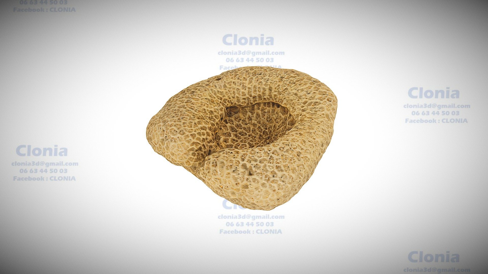 Corail - 3D model by Clonia [ea04eea] - Sketchfab