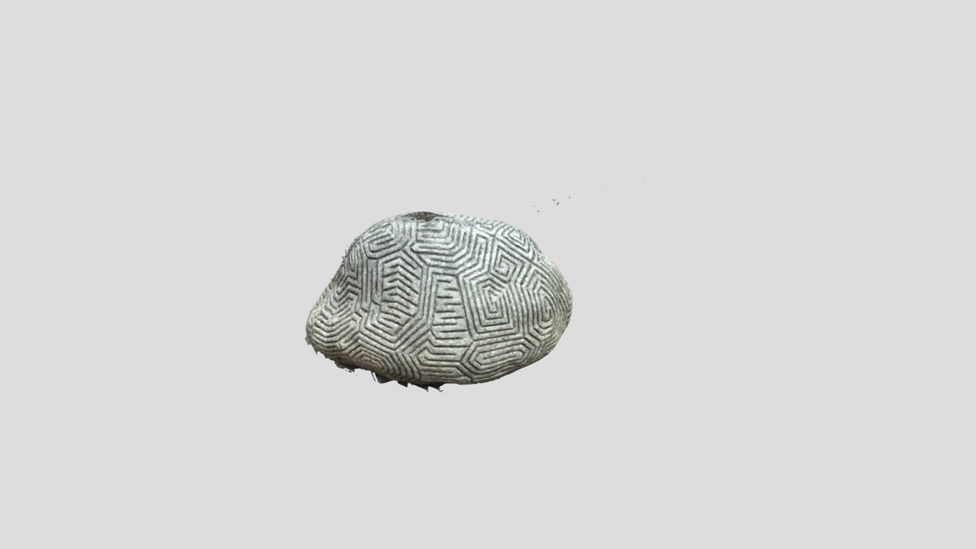Brain Rock FINAL - 3D model by kebouck [ea05459] - Sketchfab