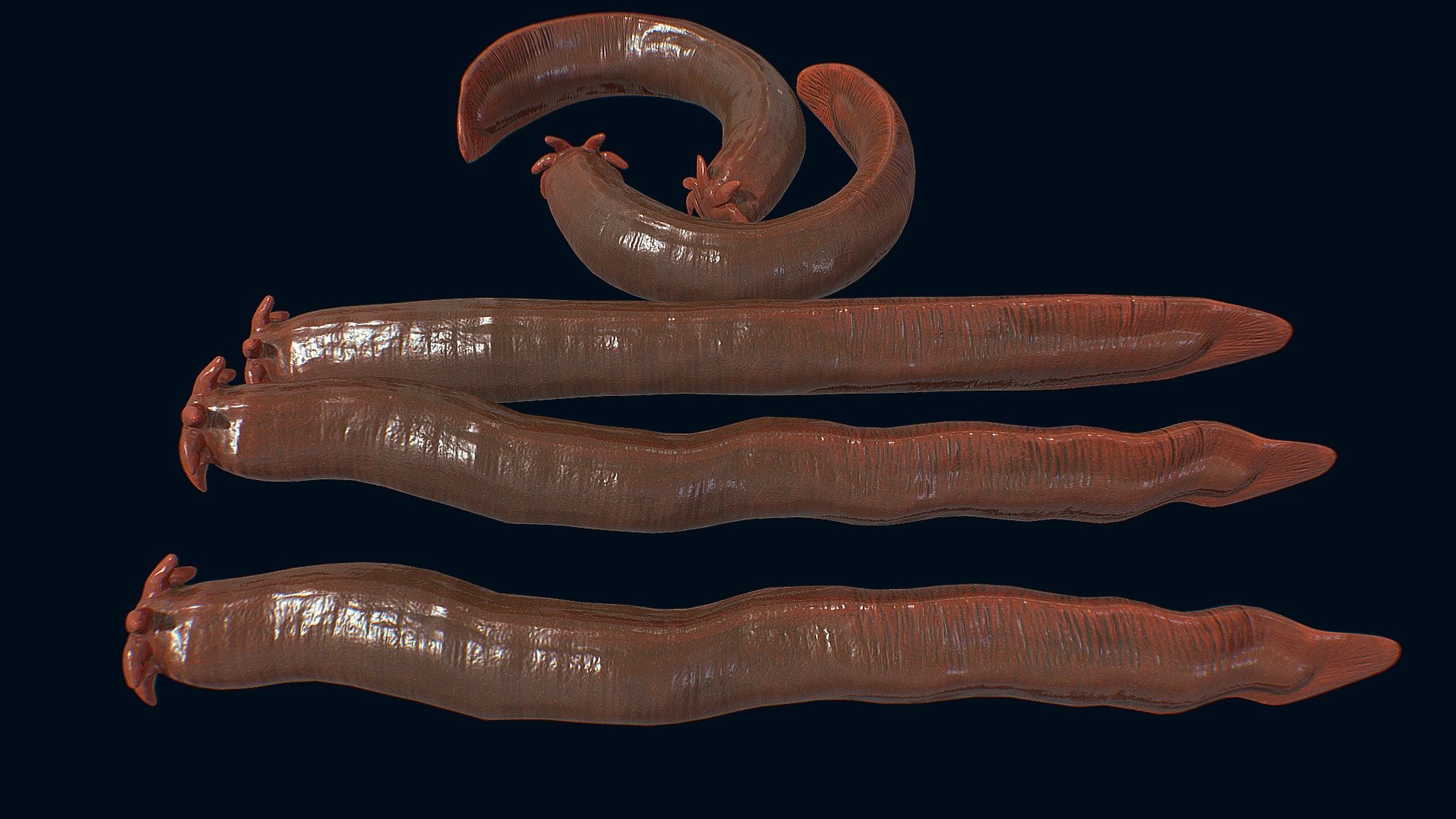 Hagfish - Buy Royalty Free 3D model by Deepak_Sharma [ea06d7d ...