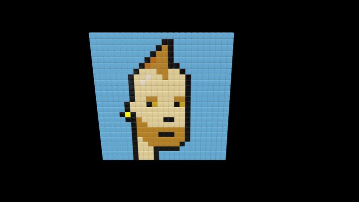 Cryptopunk 3D models - Sketchfab