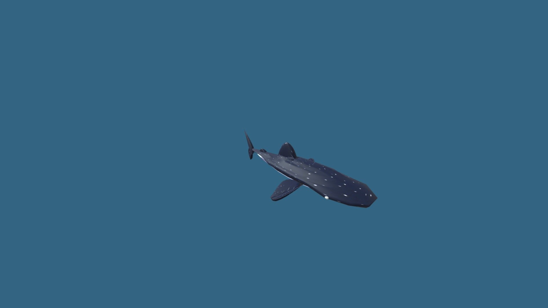 modwhaleshark4 - 3D model by hammon59 [ea0d825] - Sketchfab