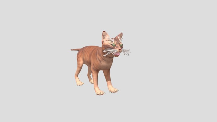 Stray 3D models - Sketchfab